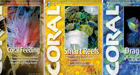 CORAL-COVER-ARRAY-586-Web - CORAL Magazine