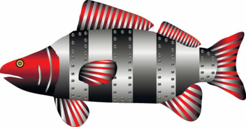 The Bulletproof Reef Survey - CORAL Magazine