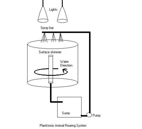 Diagram for a larval fish rearing system - CORAL Magazine
