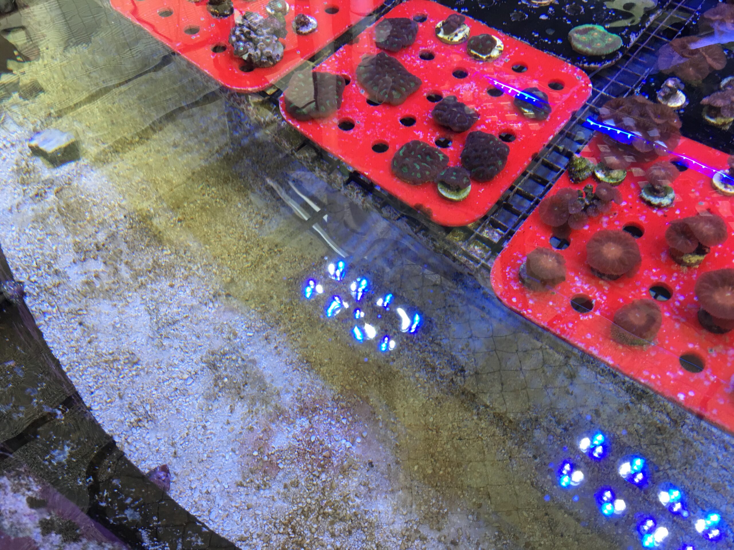 substrate2 - CORAL Magazine