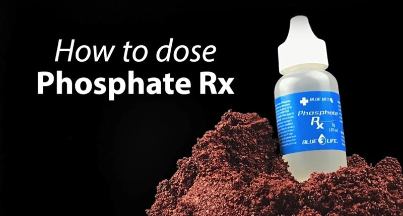 how_to_dose_phosphate_RX - CORAL Magazine
