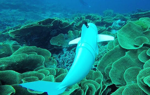 Behold, the Robotic Fish - CORAL Magazine