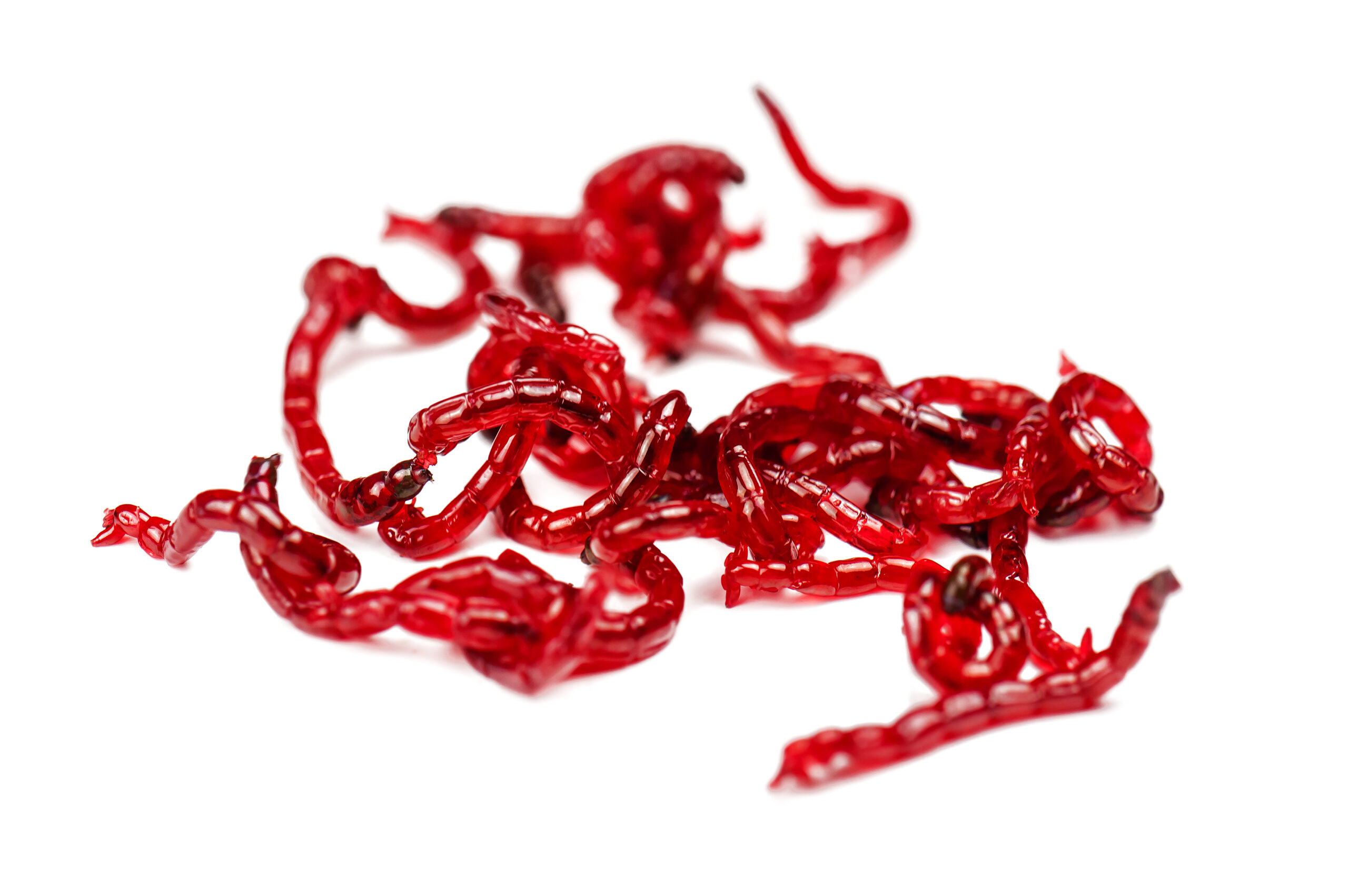 WARNING: Bloodworm Allergies Are Real for Some Fishkeepers - CORAL Magazine