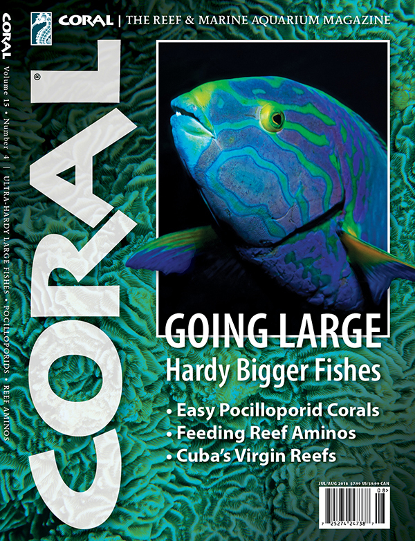 Coral Going Large web - CORAL Magazine
