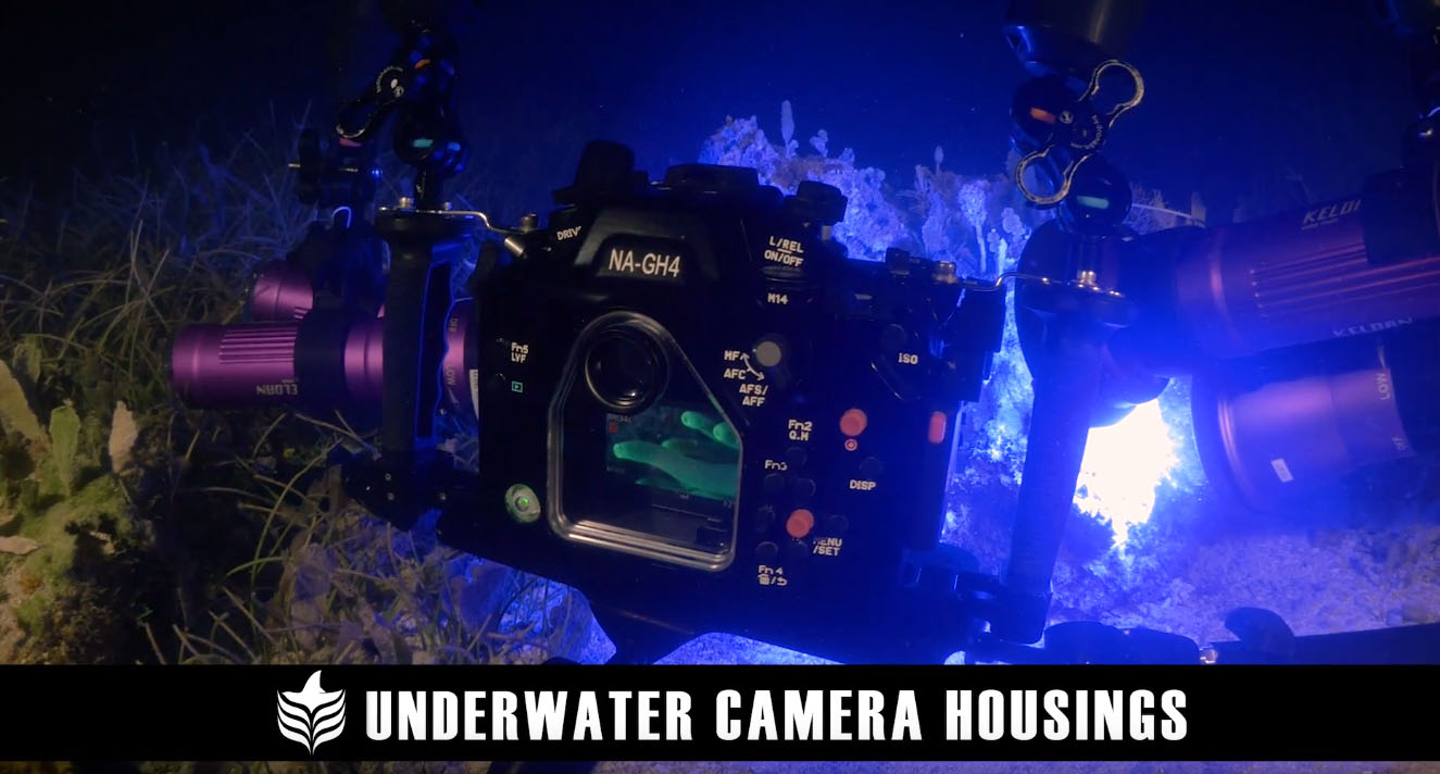 Underwater-Camera-Housings-Video - CORAL Magazine