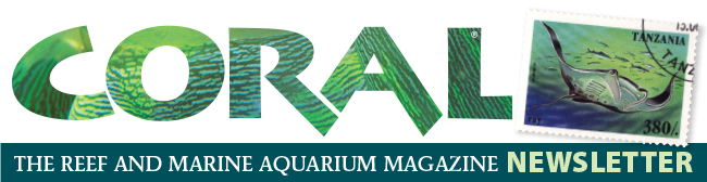 CORAL Magazine | Discover marine aquariums & coral reefs - CORAL Magazine