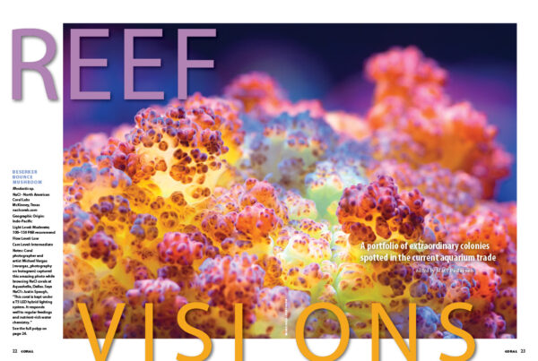 22_29 Reef Visions - CORAL Magazine