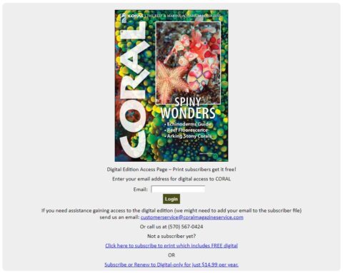 de-login - CORAL Magazine