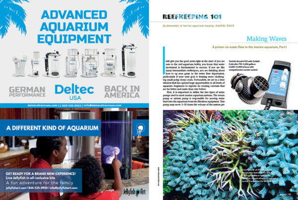 92_97 Reefkeeping 101 - CORAL Magazine