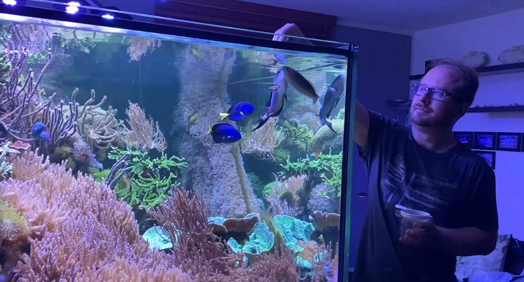GERMAN "Nature Reef" Video - CORAL Magazine