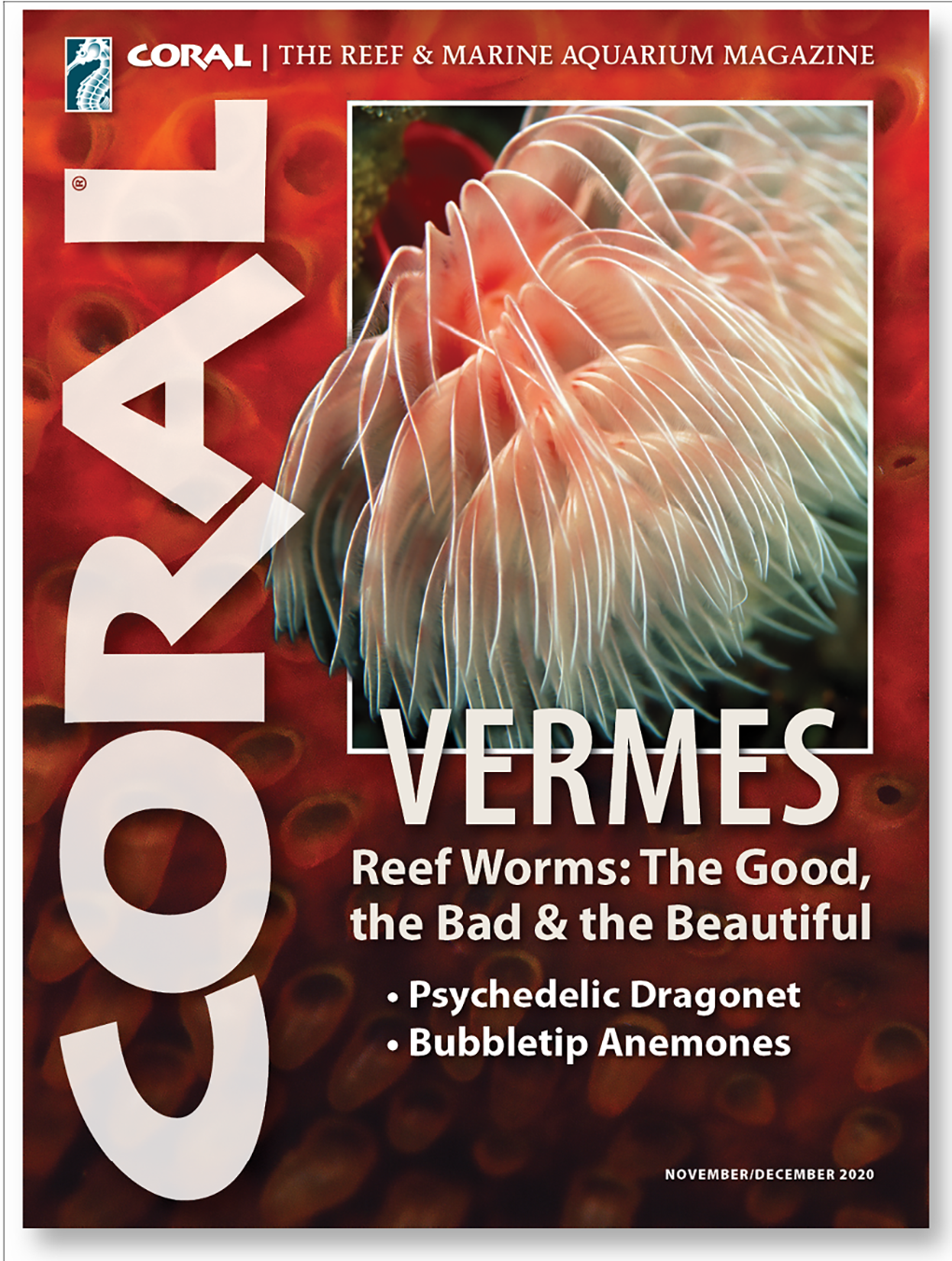 C17-6-Cover-Shadow-New - CORAL Magazine