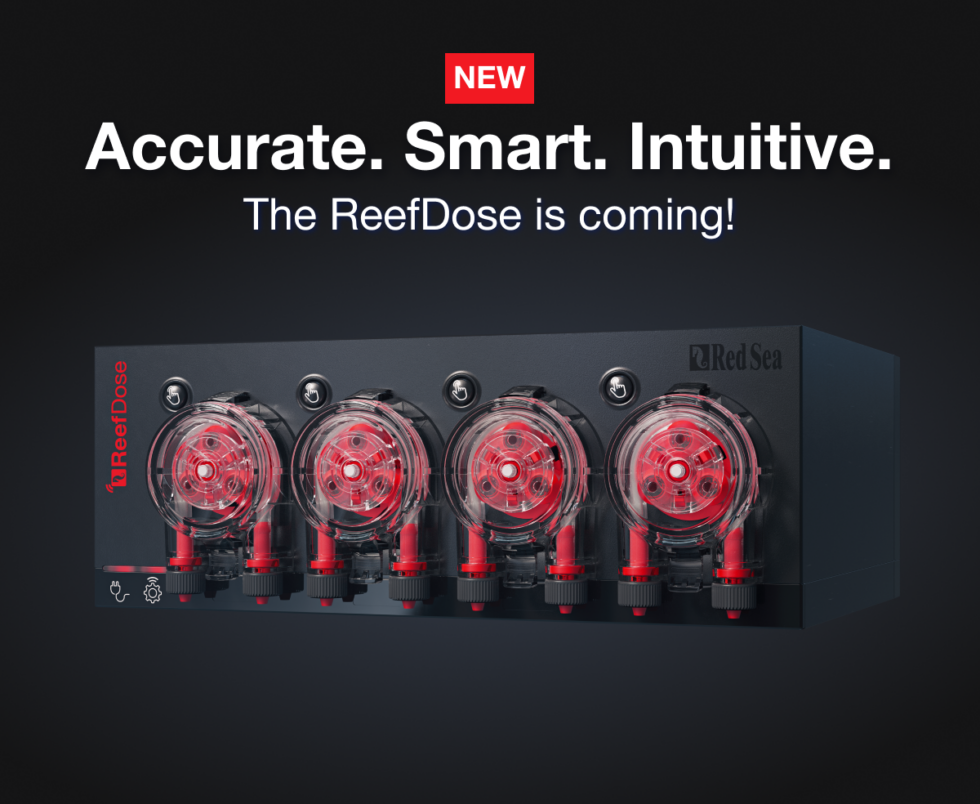 Red Sea Introduces ReefDose Dosing Pumps - CORAL Magazine
