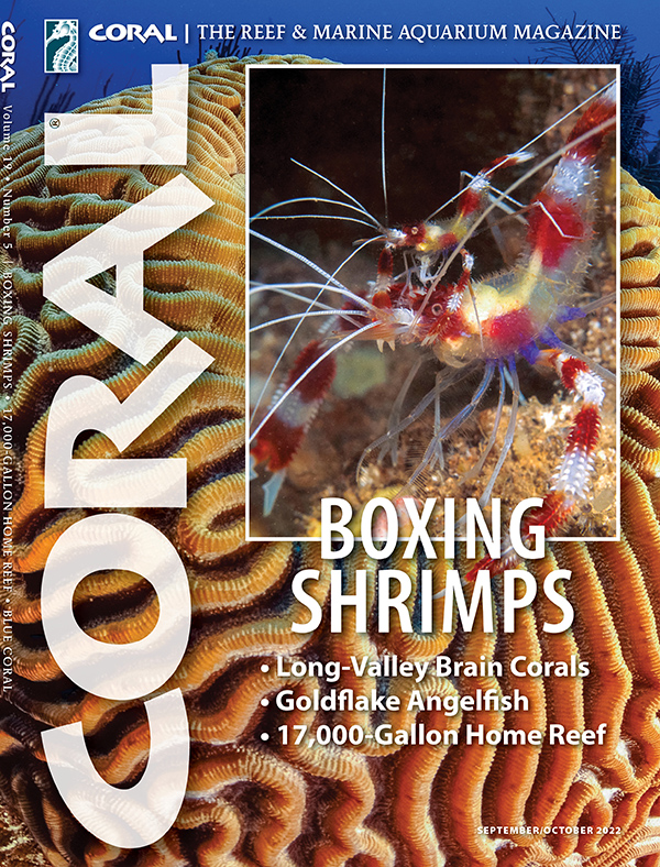 1_C19.5-Cover-and-Spine - CORAL Magazine