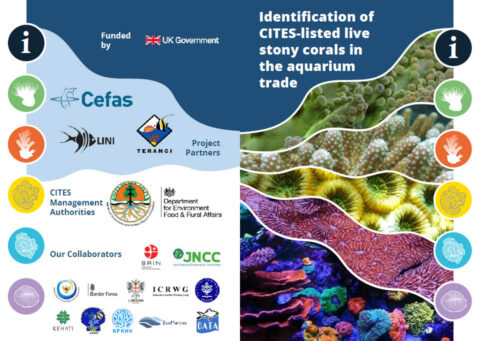 Comprehensive CITES Coral ID Guide Now Available - CORAL Magazine