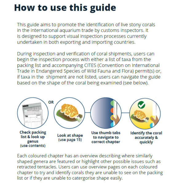 how-to-use-CITES-coral-ID-guide - CORAL Magazine