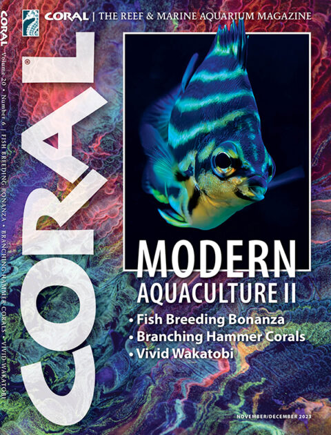CORAL Magazine | Discover marine aquariums & coral reefs - CORAL Magazine