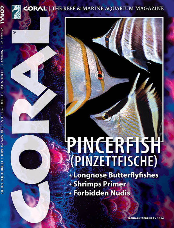 CORAL Magazine | Discover marine aquariums & coral reefs - CORAL Magazine