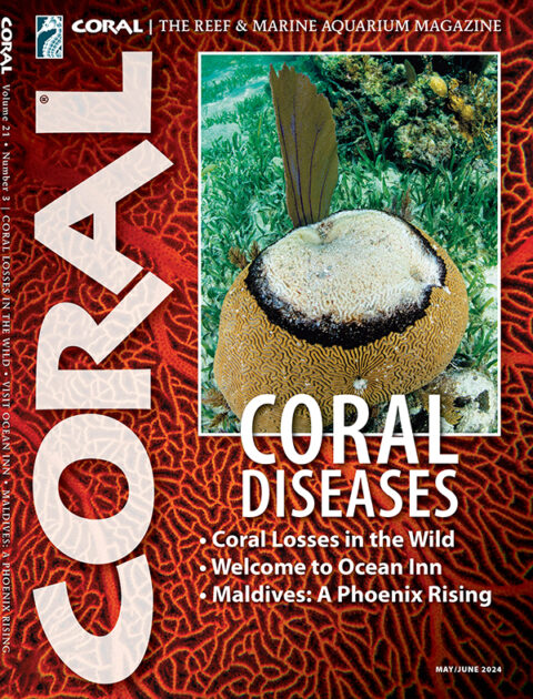 CORAL Magazine | Discover marine aquariums & coral reefs - CORAL Magazine