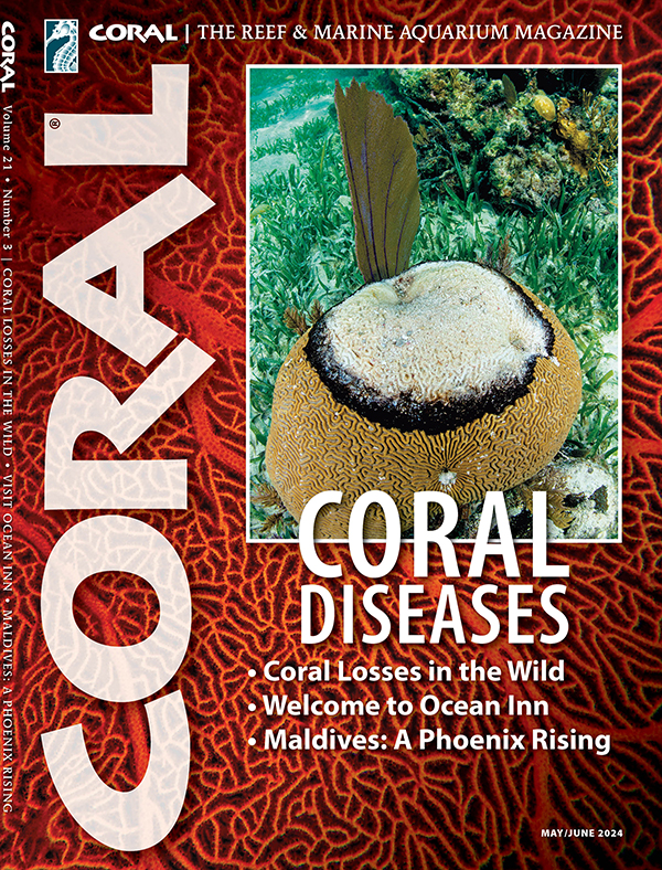 CORAL Magazine | Discover marine aquariums & coral reefs - CORAL Magazine