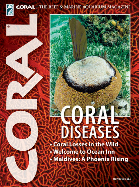 CORAL Magazine Table of Contents May/June 2024 - CORAL Magazine