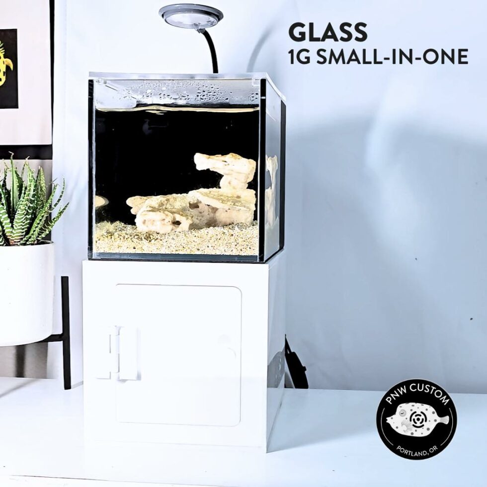 PNW Custom's New "Glass Small-In-One" Pico Aquarium - CORAL Magazine