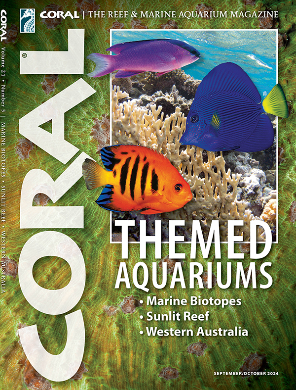 CORAL Magazine | Discover marine aquariums & coral reefs - CORAL Magazine