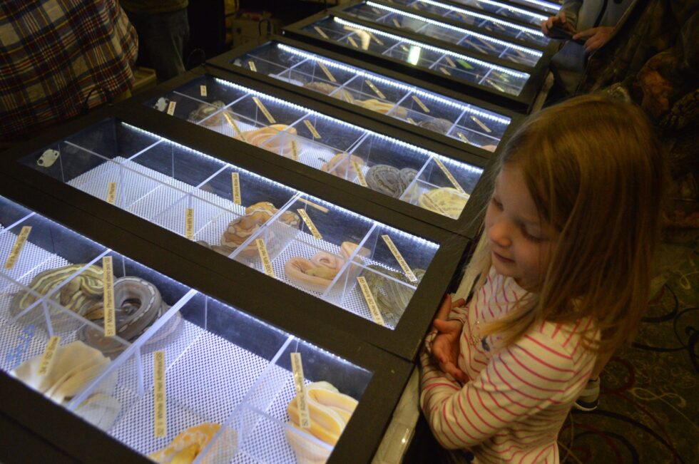 NARBC Launches Dallas Pet Expo in 2025 - CORAL Magazine