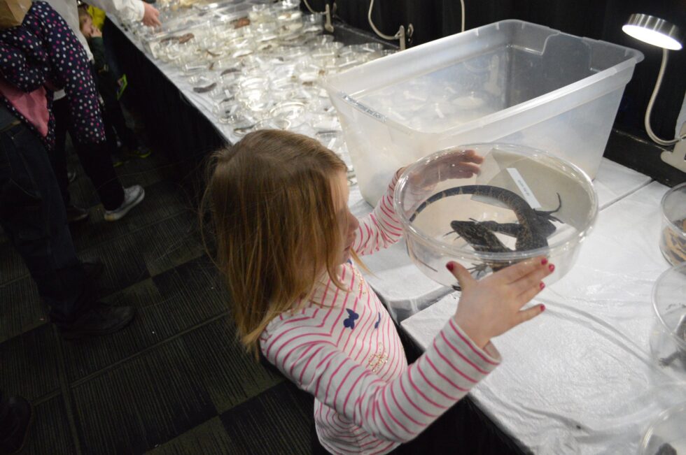 NARBC Launches Dallas Pet Expo in 2025 - CORAL Magazine