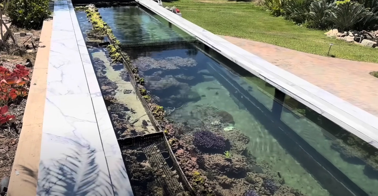 Video: Backyard Ocean is a new, 13,000-gallon Outdoor Reef Aquarium ...